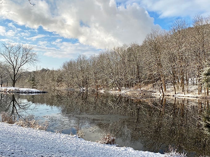 Winter paints Berwick in crystalline stillness, where the water reflects bare branches like nature's own Rorschach test.