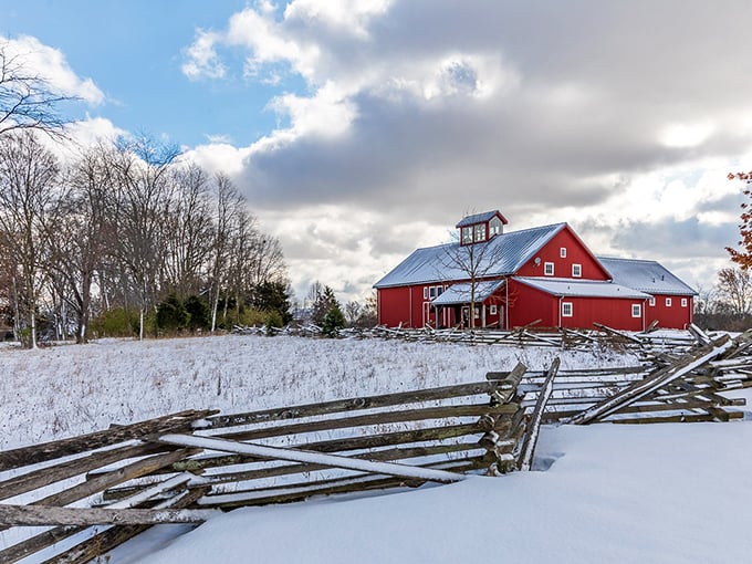 Winter transforms this red barn into a scene so quintessentially Midwestern it could be the cover of a holiday card or the backdrop for every nostalgic country song.