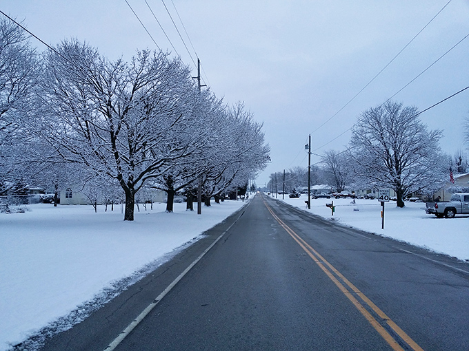 Winter transforms Fremont's streets into a monochromatic masterpiece, where snow-laden branches create nature's version of a wedding canopy.