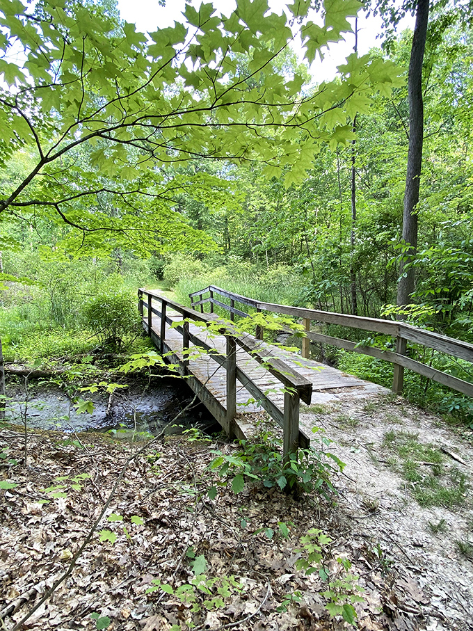This unassuming wooden bridge connects worlds &ndash; from everyday to enchanted. The forest beckons with secrets only footsteps can discover.