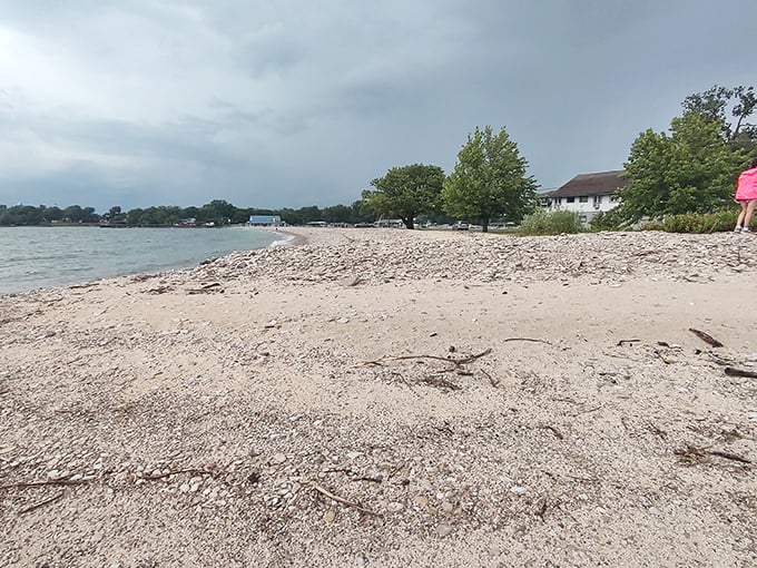 Where land meets lake in a perfect harmony of textures. Those tiny branches tell stories of storms survived and calm days ahead. 
