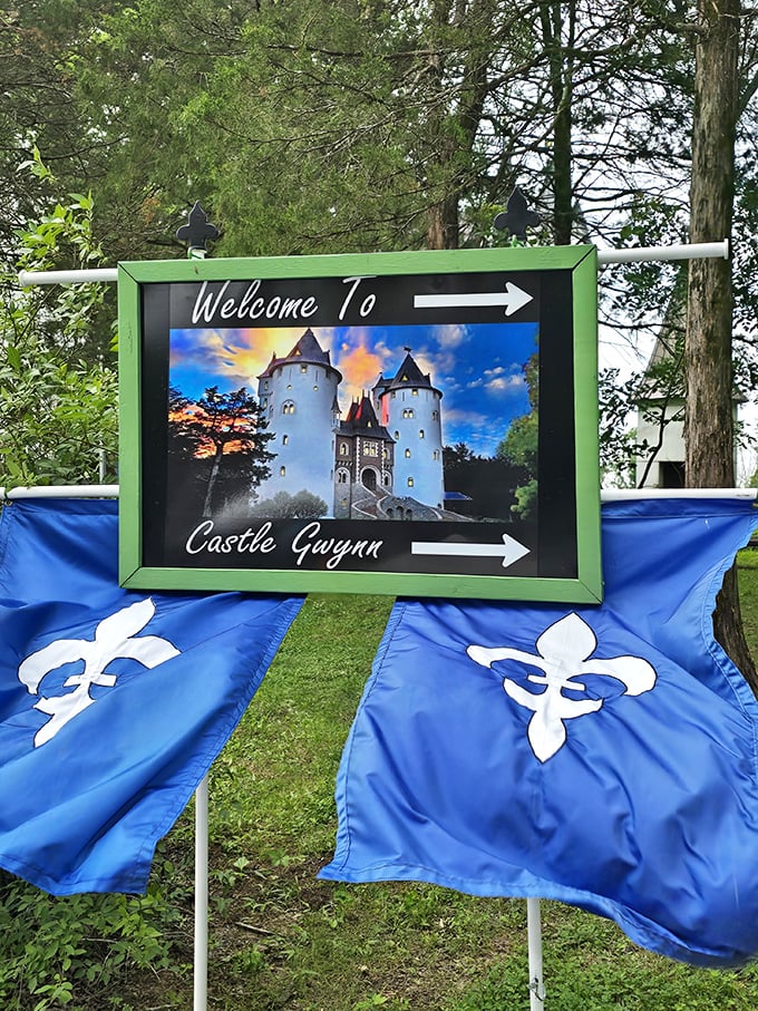 Follow the fleur-de-lis to fantasy! This welcoming sign points the way to Castle Gwynn, where medieval dreams await just around the corner.