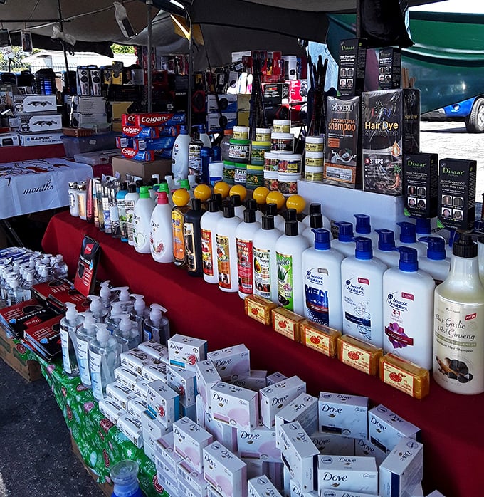 Personal care products arranged with pharmaceutical precision. Dove, Colgate, and enough lotions to moisturize the entire Mojave Desert.