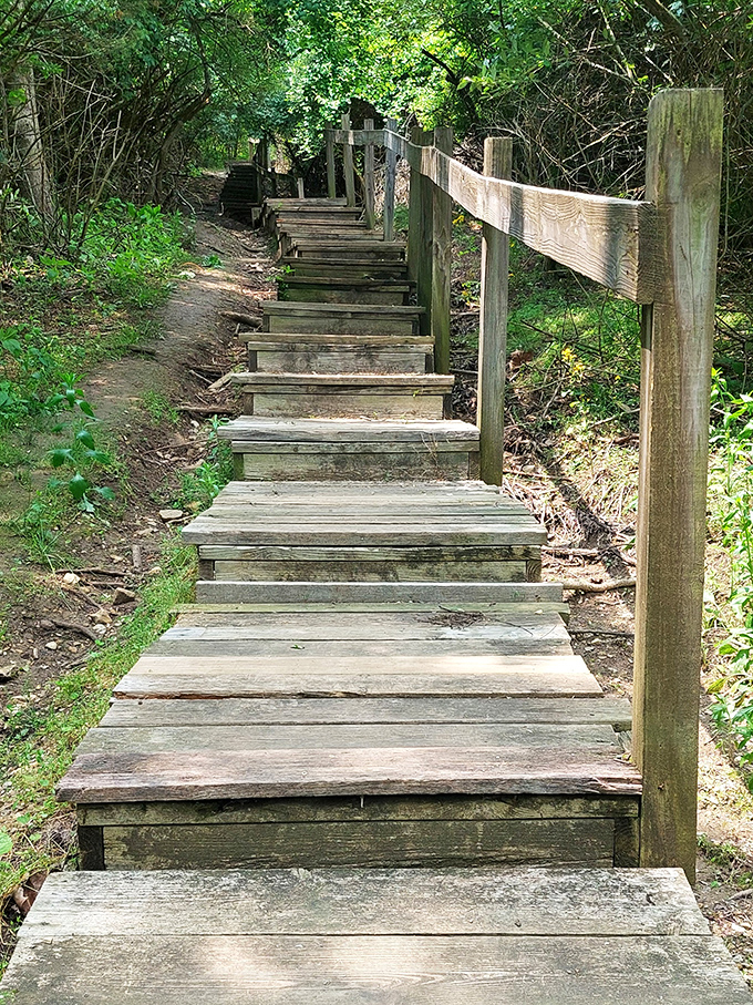 Nature's stairway to heaven, minus the Led Zeppelin soundtrack. This rustic boardwalk invites exploration of the park's more secluded corners.