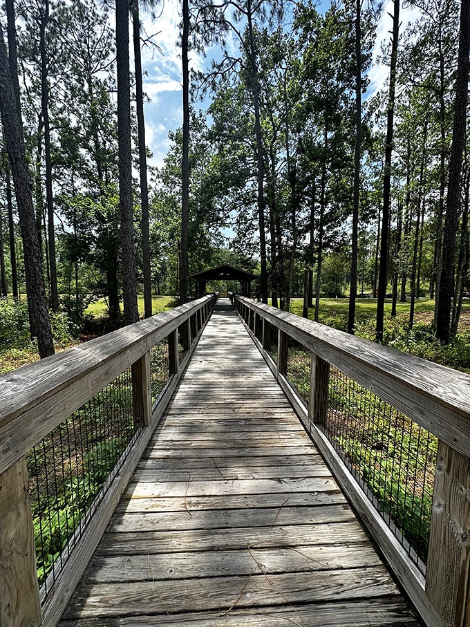 Crossing into tranquility &ndash; this wooden boardwalk bridge invites visitors to leave behind the ordinary and enter a world of natural wonder.