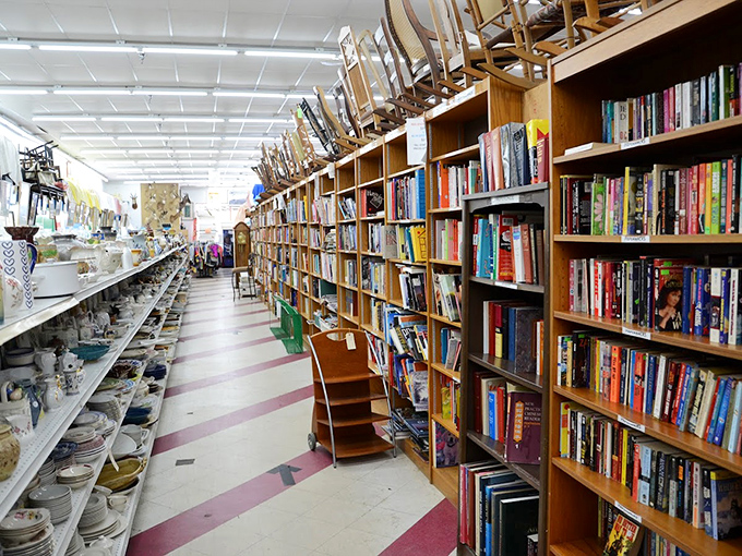 A bibliophile's dream or a librarian's nightmare? Either way, these shelves contain enough reading material to survive several Illinois winters.