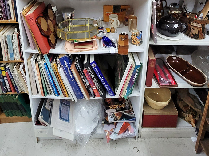 Before Kindle, there were these mysterious objects made of paper. This collection of vintage books holds wisdom that never needs charging.