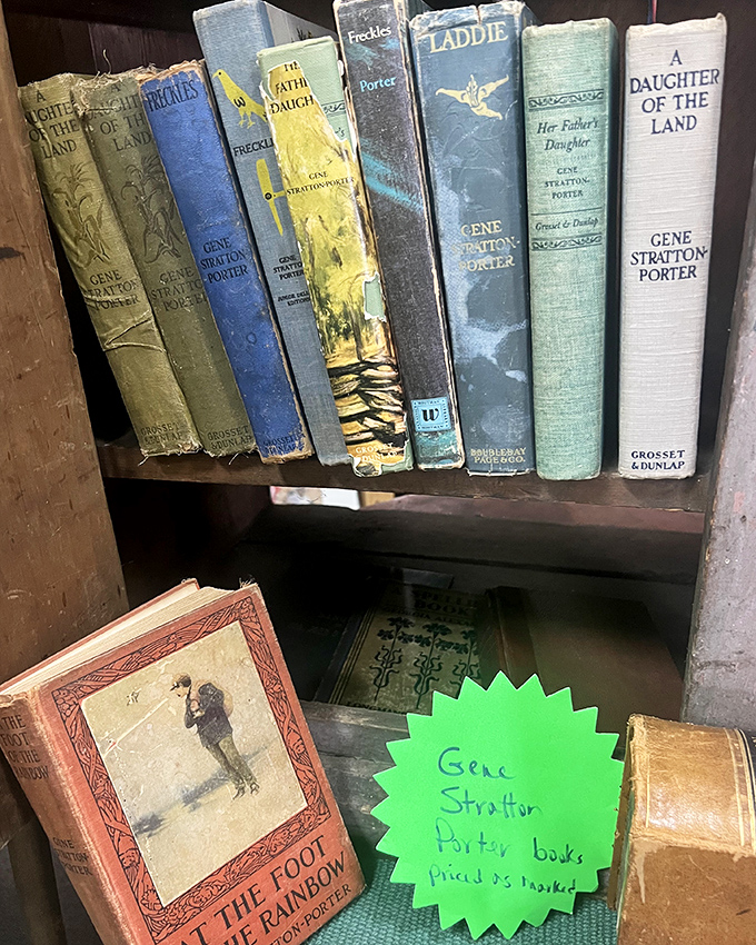 Gene Stratton Porter's beloved novels line these shelves, their worn spines evidence of countless readers transported to simpler times.