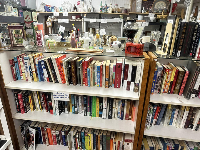 Books arranged not by algorithm but by human hands, creating the serendipitous discovery experience that online shopping can never replicate.