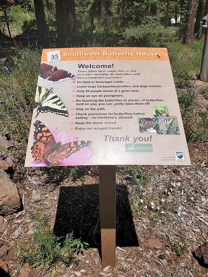 The butterfly house rules are simple: be gentle, stay amazed, and prepare for winged visitors to steal your heart. 
