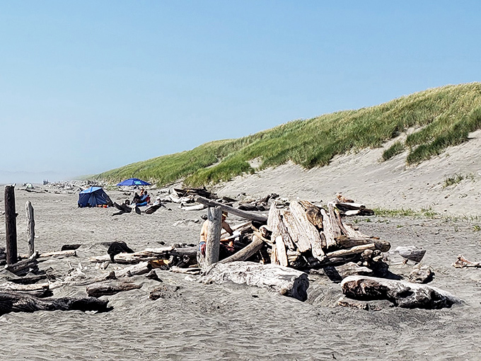 Beach camping near the shipwreck site offers the rare opportunity to fall asleep to ocean waves and wake up to maritime history.