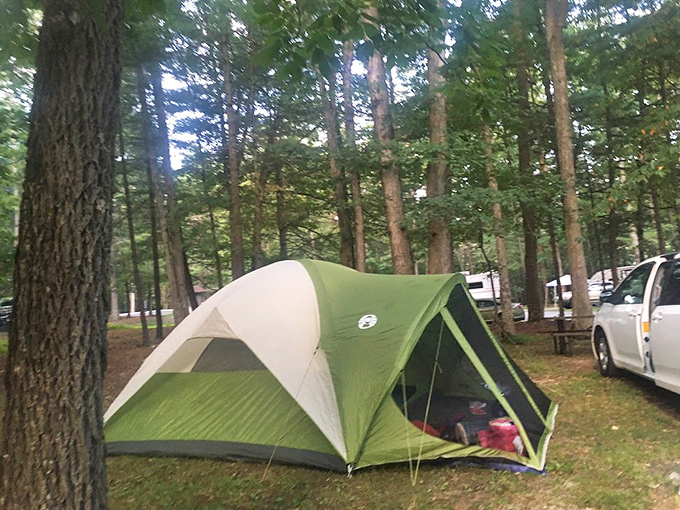 Camping: where you pay good money to live like a homeless person and love every minute of it. This tent is someone's five-star wilderness hotel.