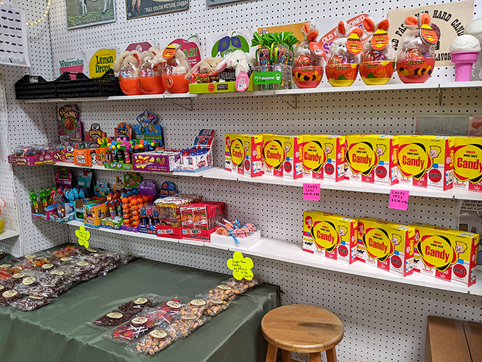 A sugar rush of nostalgia lines these shelves, with vintage candy boxes that transport you back to Saturday mornings and corner store adventures.