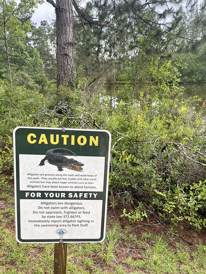 Florida's version of "Beware of Falling Rocks"&mdash;a friendly reminder that some residents have teeth, scales, and prehistoric attitudes about personal space.