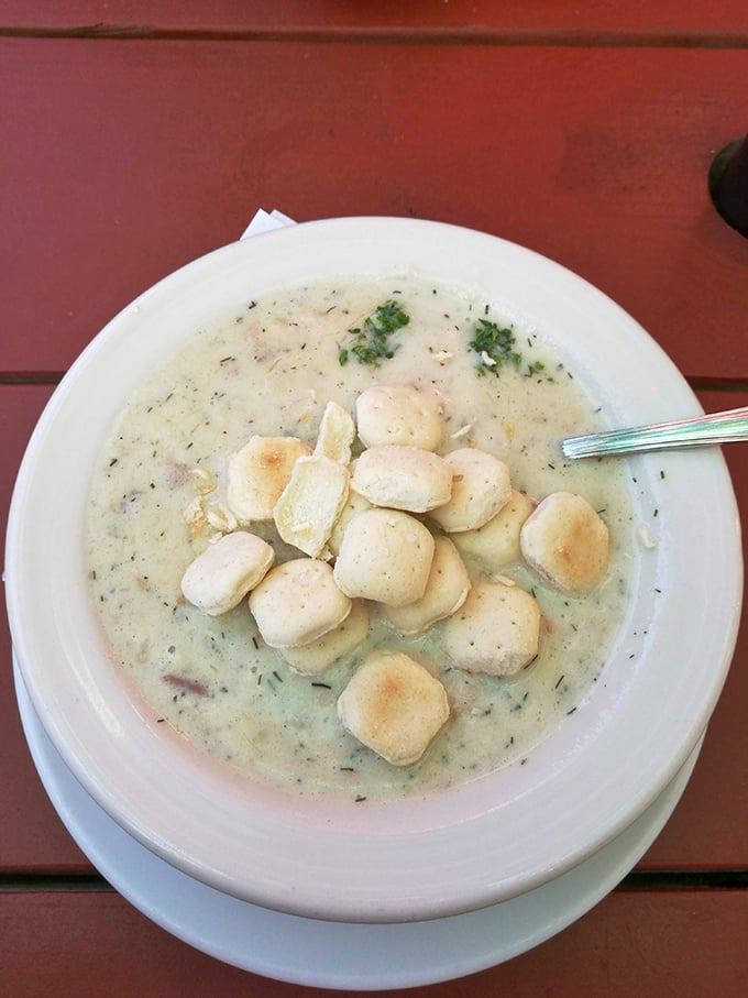 Clam chowder so creamy and rich it could run for office. Those oyster crackers are just showing off.