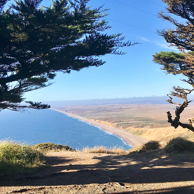 Wind-sculpted cypress trees frame a coastline view that makes even the most jaded Californians stop and reach for their cameras.
