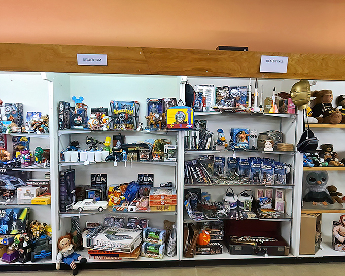 From action figures to collectibles, this dealer's room is where nostalgia meets investment opportunity. Yesterday's toys, tomorrow's treasures.