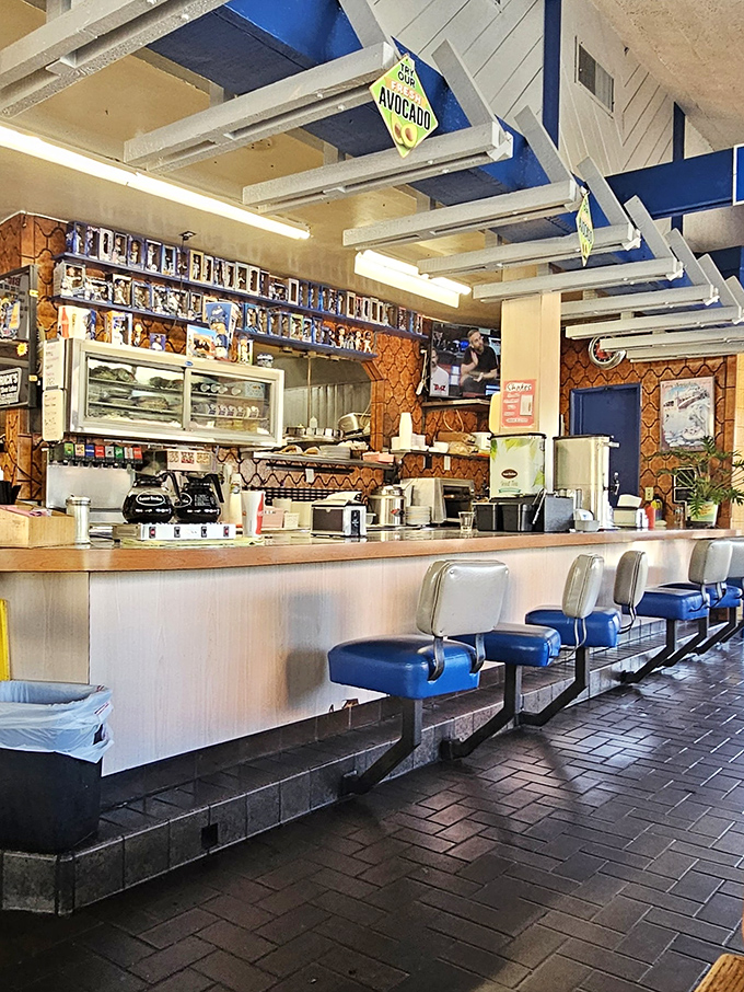 Counter seating with blue vinyl stools where you can watch the kitchen ballet while contemplating whether to add avocado to everything.