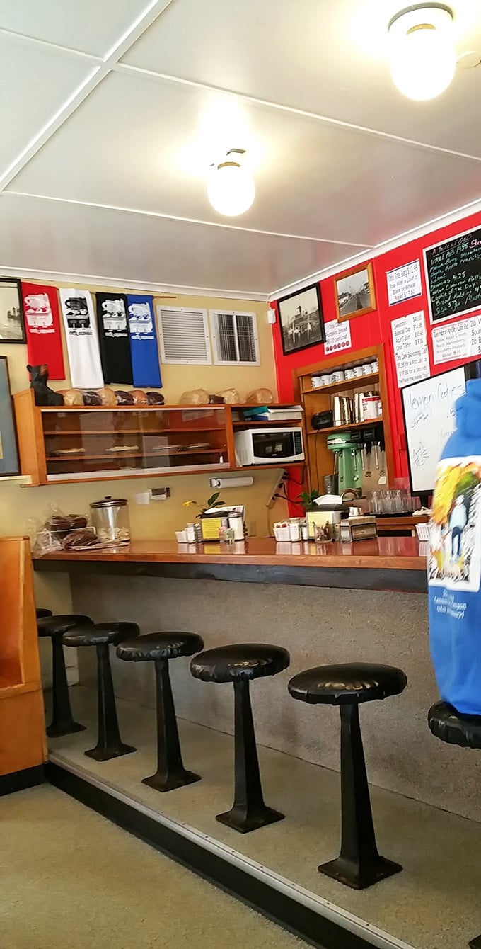 Counter seating: where solo diners become part of the Otis family and the best local secrets are shared.