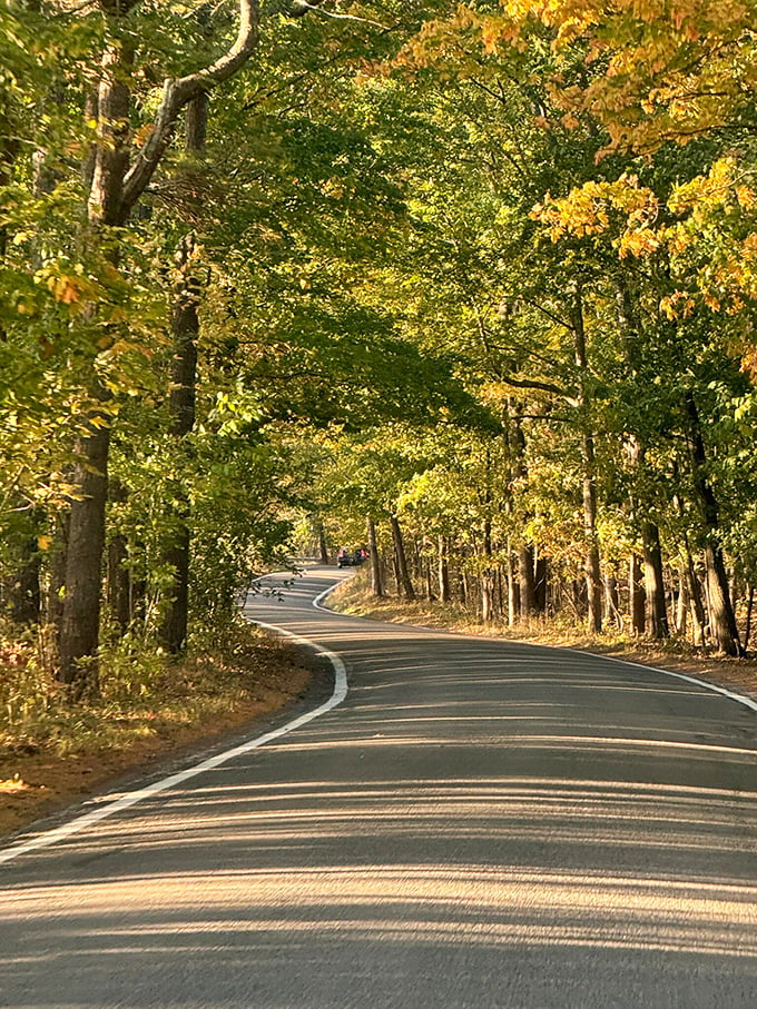 The road's gentle S-curves seem designed by an artist rather than an engineer&mdash;each bend revealing new golden treasures.