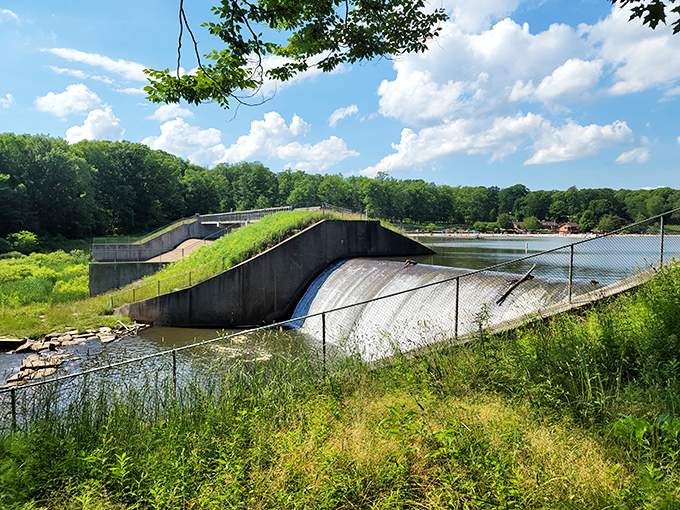 Engineering meets ecology at Laurel Hill's dam. Concrete and wilderness finding harmony in this surprisingly photogenic infrastructure.