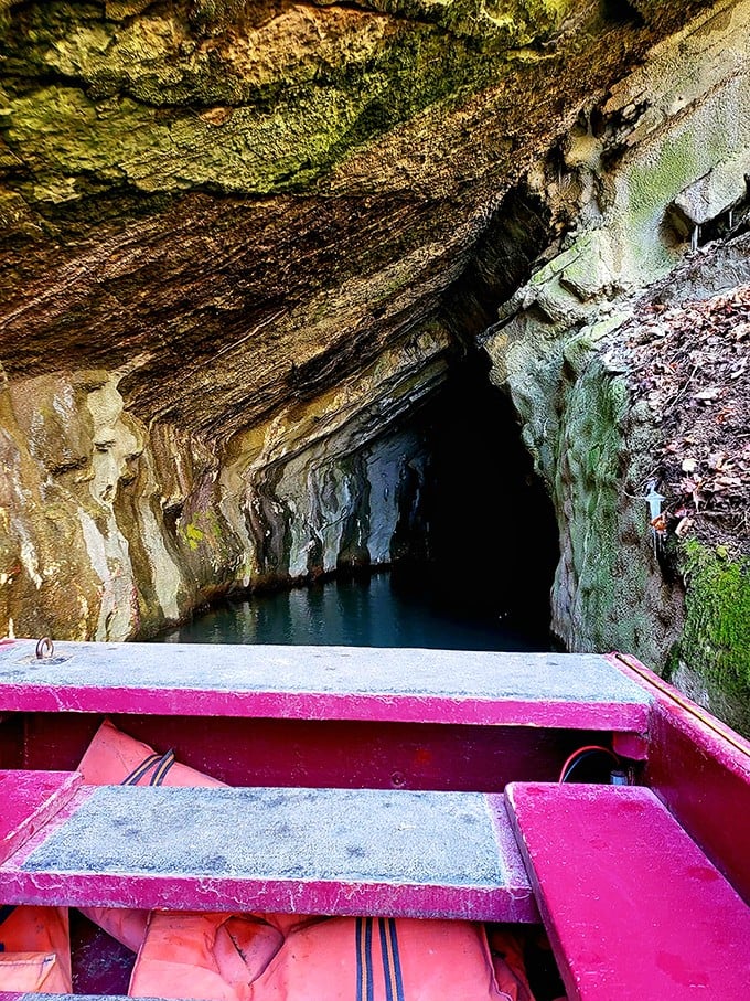 Nature's mysterious portal awaits from the vantage point of a crimson boat. The cave seems to whisper, "Come in, the water's fine... and has been for millennia."