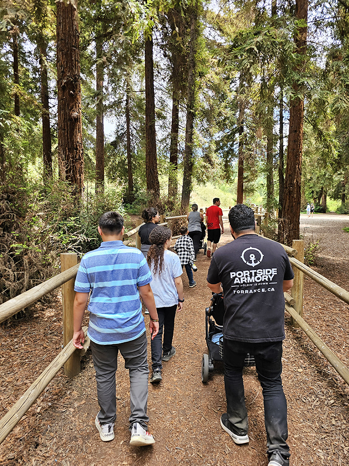 Families discover the magic together. These towering giants have a way of making everyone &ndash; regardless of age &ndash; feel wonderfully small.