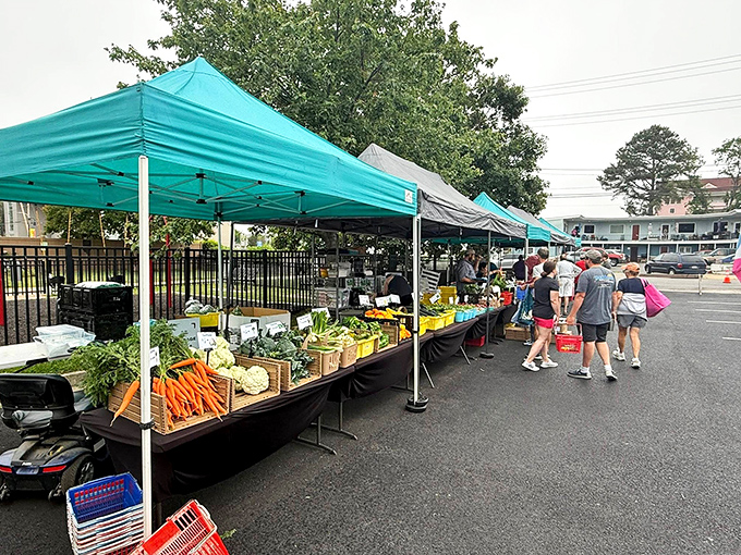 The Friday farmers market proves the best shopping doesn't need fancy stores &ndash; just fresh produce, friendly vendors, and the promise of tonight's perfect meal.