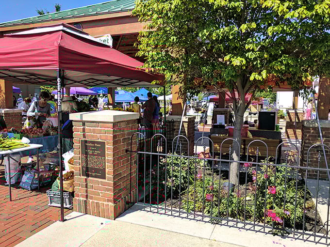 The local farmers market brings together growers, artisans, and neighbors in a weekly celebration of community and fresh produce.
