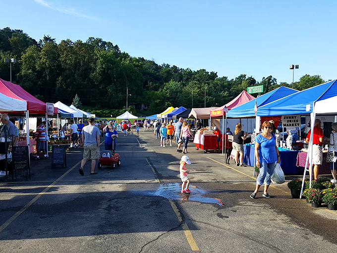 Farmers markets that make grocery stores seem like sad, fluorescent-lit affairs &ndash; these tomatoes actually remember what sunshine feels like.