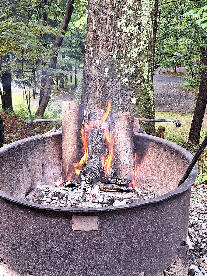 Primal television: the campfire channel. No remote needed for this timeless entertainment that's been captivating humans for millennia.