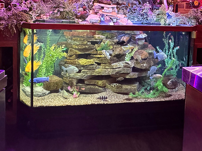 Even the fish tank screams "Wisconsin supper club" &ndash; elaborate, slightly over-the-top, and utterly mesmerizing after your second old fashioned.