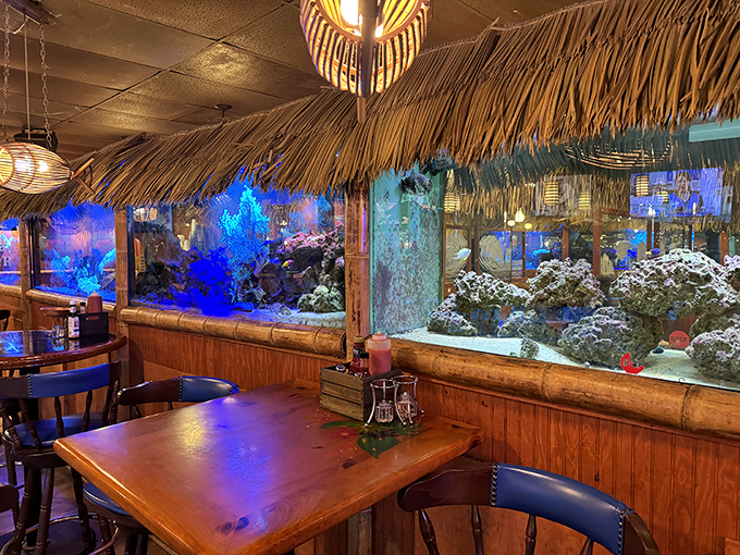 Dining alongside illuminated fish tanks&mdash;the irony of watching tropical fish while eating their distant cousins isn't lost on anyone here.