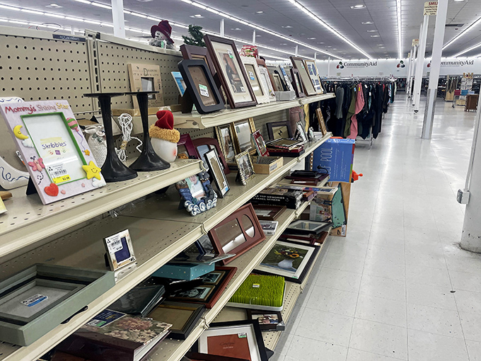 Picture frames waiting to house new memories, proving that sometimes the perfect showcase for your family photo costs less than the coffee you spilled on it.