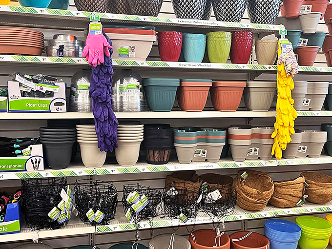 Garden dreams bloom in pastel plastic. These pots promise horticultural success even for those who've killed cacti.