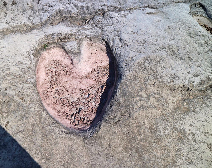 Even the rocks at Pedernales Falls fall in love. This heart-shaped formation proves that geology has a romantic side too.