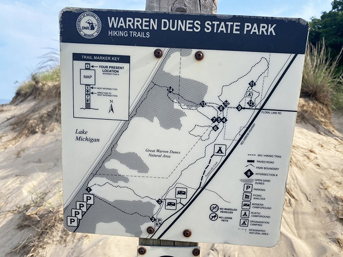 Trail maps: the original GPS for those brave souls willing to venture beyond the beach and discover what makes Warren Dunes a true Michigan treasure.