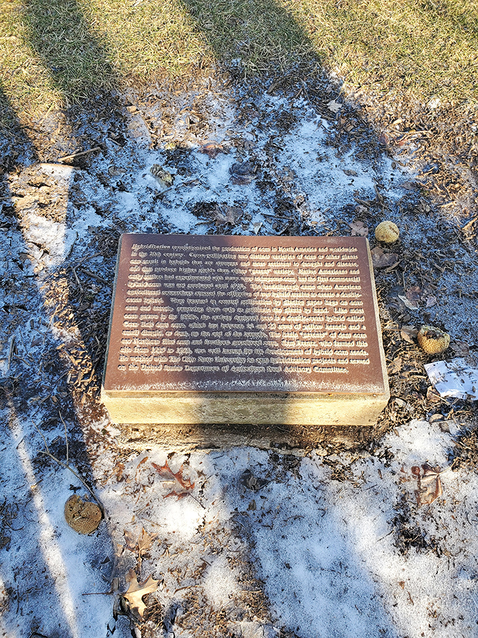 A historical marker partially visible in the ground&mdash;another layer of Dublin's story waiting to be discovered by curious visitors. 