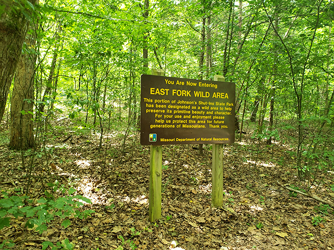The East Fork Wild Area sign stands as a gentle reminder: we're just visitors in this ancient landscape. Tread lightly, friends.