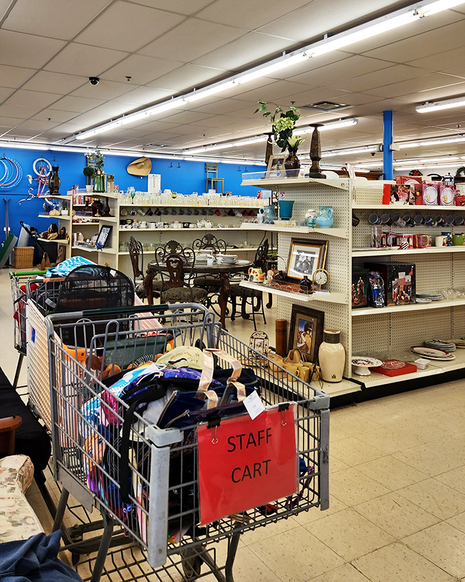 The organized chaos of retail therapy where every aisle promises a new adventure.