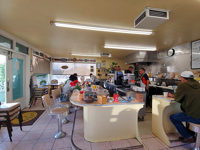 The curved counter creates intimate conversations while fluorescent lights cast that perfect diner glow over everything magical. 