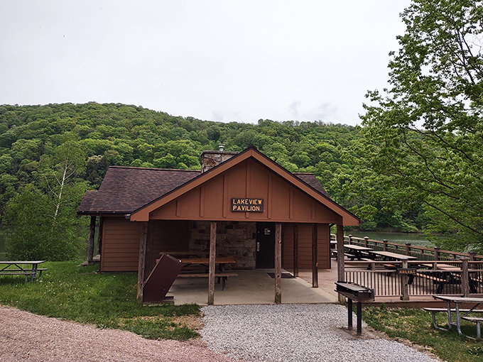 Lakeview Pavilion – where family reunions become legendary and potato salad earns its rightful place in the pantheon of picnic foods.