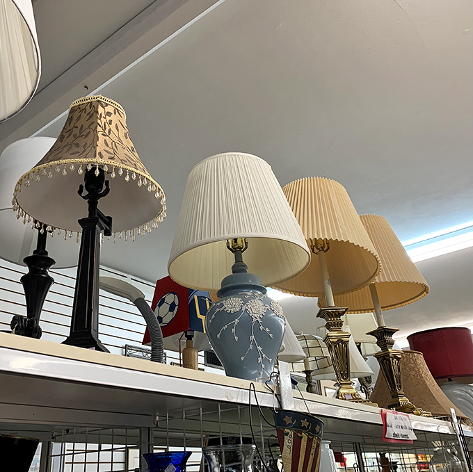 Elegant lamps ready to illuminate homes with style that department stores charge triple for.