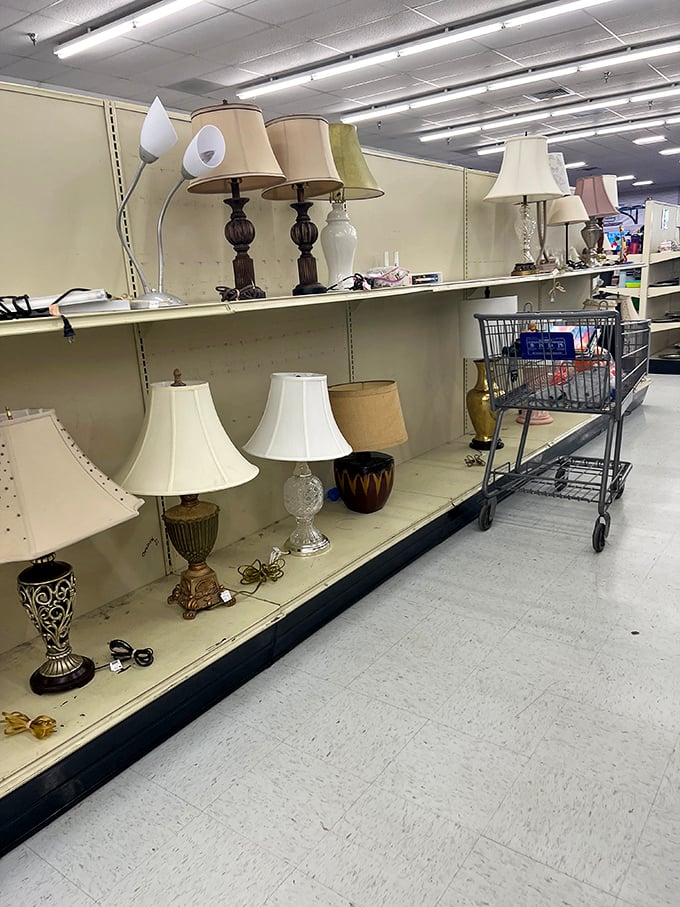 Lamp shopping that illuminates possibilities. That perfect reading light might be hiding between vintage brass and modern minimalism.