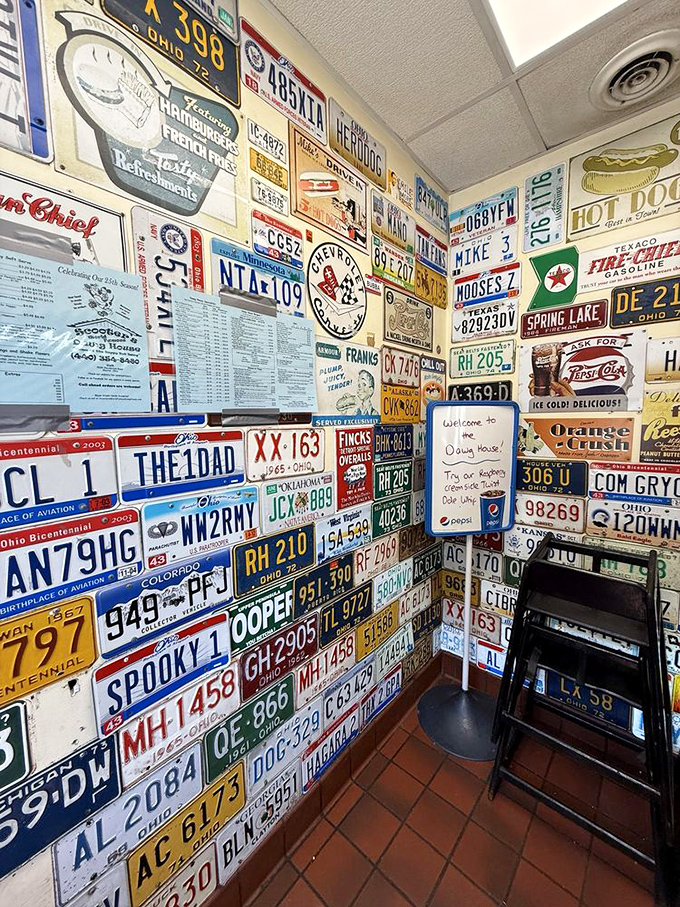 License plates from across America tell stories of pilgrims seeking the perfect dog.