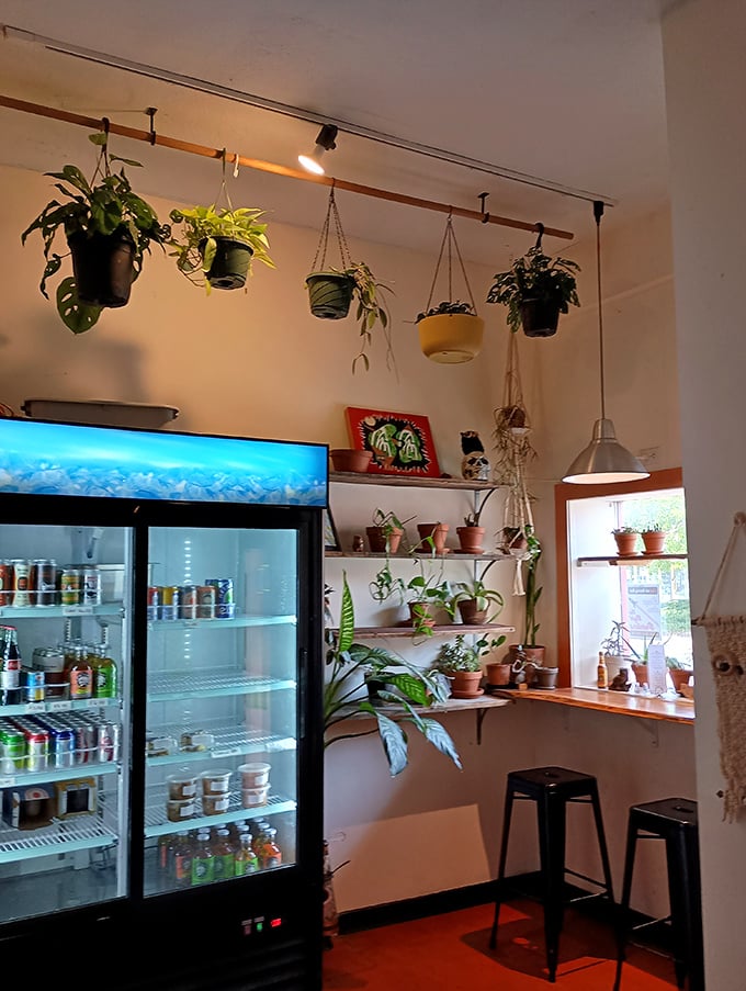 Hanging plants create a living canopy in this cozy corner, where the refrigerator's contents are as colorful as the decor.