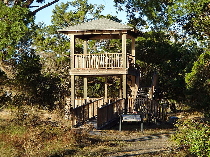 The observation tower offers bird's-eye views worth every step climbed. Binoculars optional, but your sense of wonder is absolutely required.