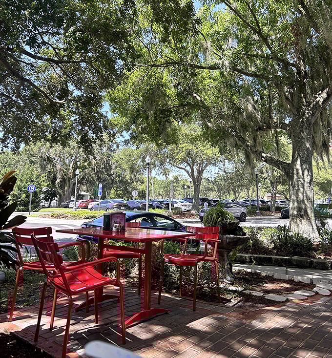 Those red chairs aren't just seating&mdash;they're front-row tickets to nature's show of dappled sunlight through ancient oak branches.