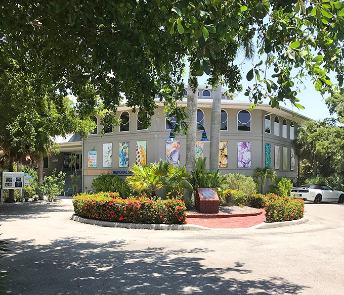 Surrounded by lush Florida landscaping, the museum's exterior is as inviting as a perfect beach day&mdash;minus the sunburn risk.