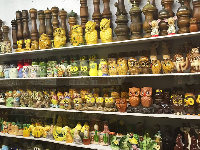 A parliament of owl shakers stands in colorful formation. These wise old birds have seen many dinner tables in their day.